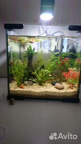 Аквариум нано-куб с LED-светильником + крышка