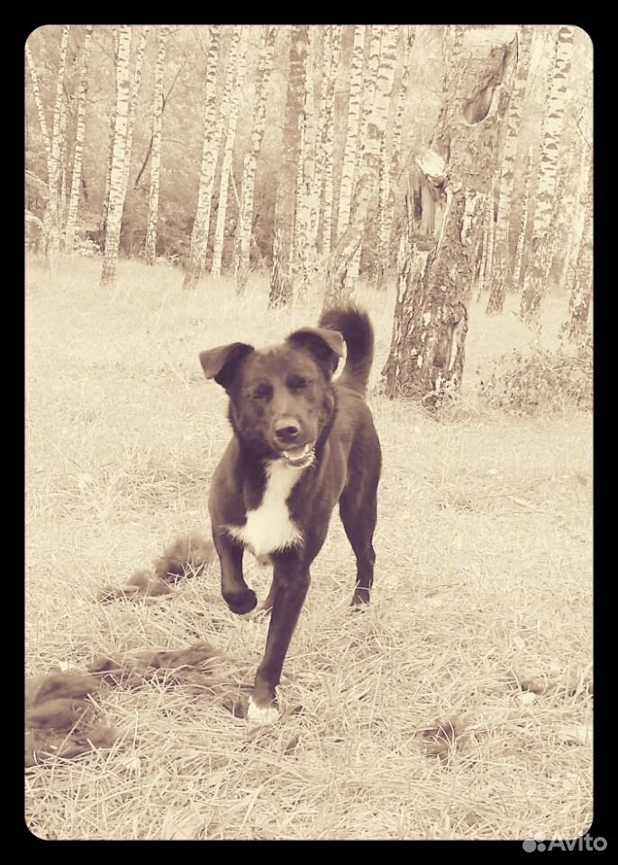 Ребенку из приюта очень нужен дом