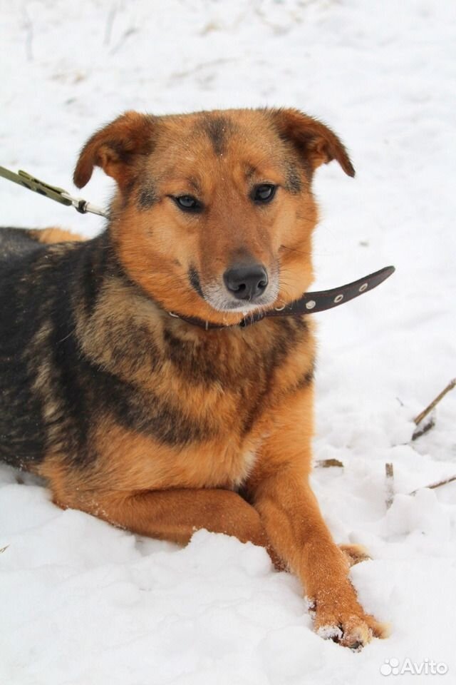 Девочка Светлячок, красивая как солнце