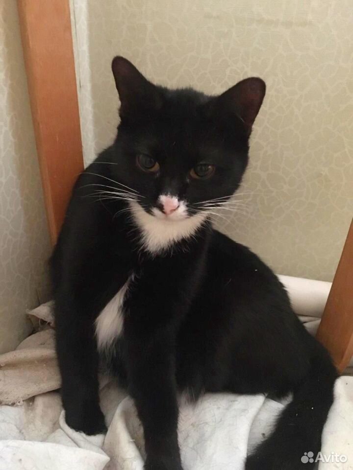 Гаечка в добрые руки