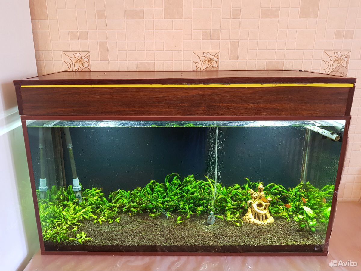 Аквариум 200л