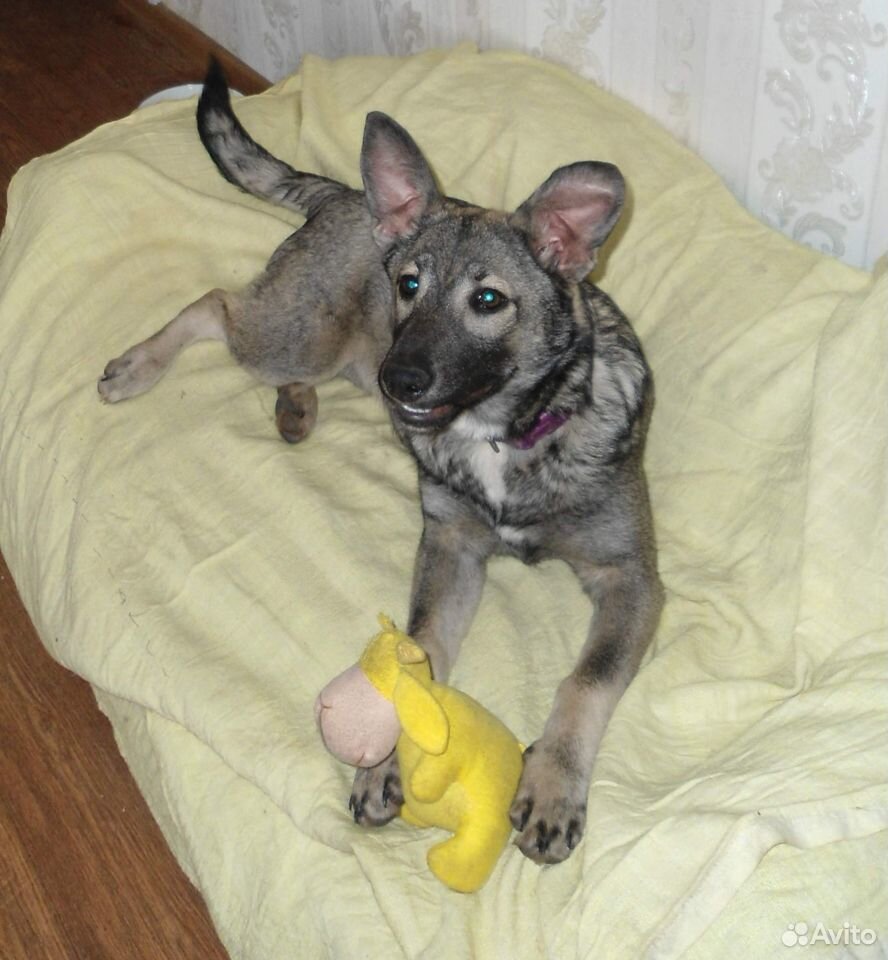 Выбери меня (с)