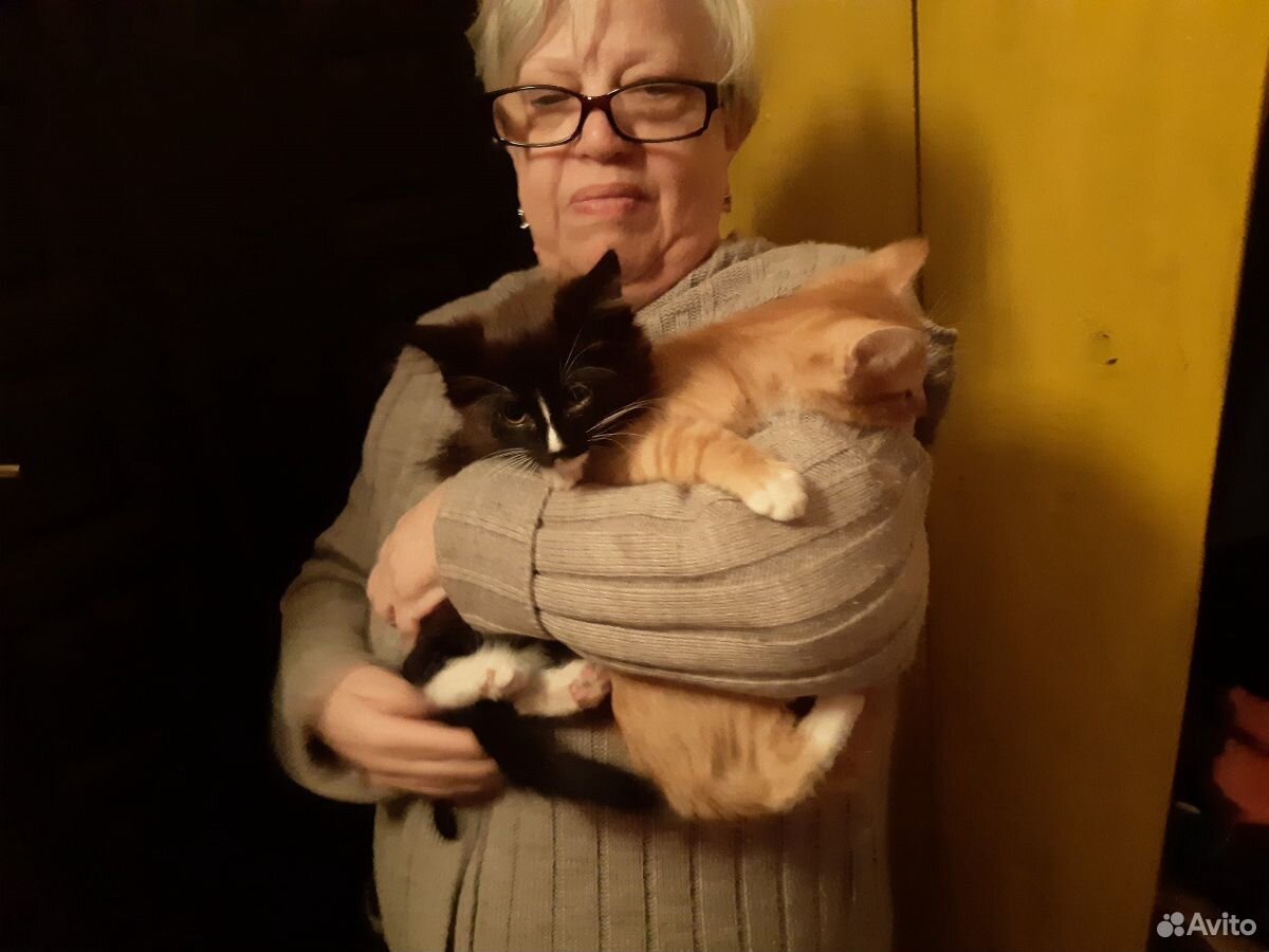 Кошка