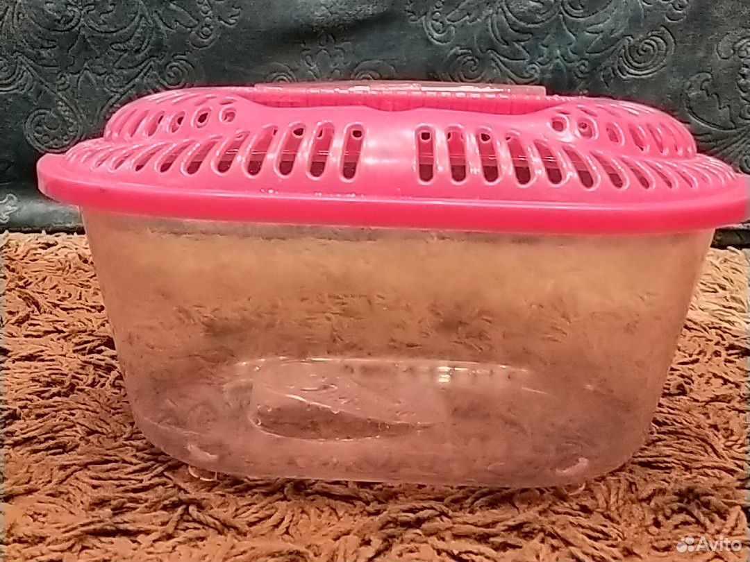 Аквариумы для черепашки или черепашек