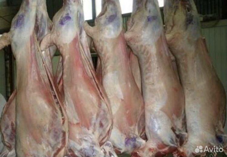 Мясо баранинах и овец