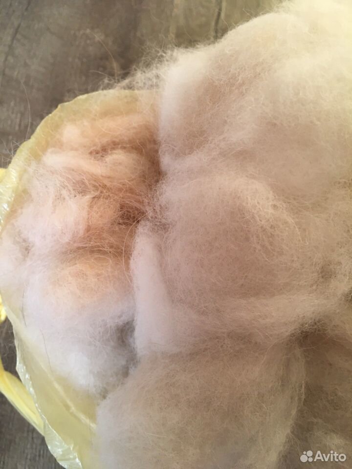 Шерсть собаки чау-чау