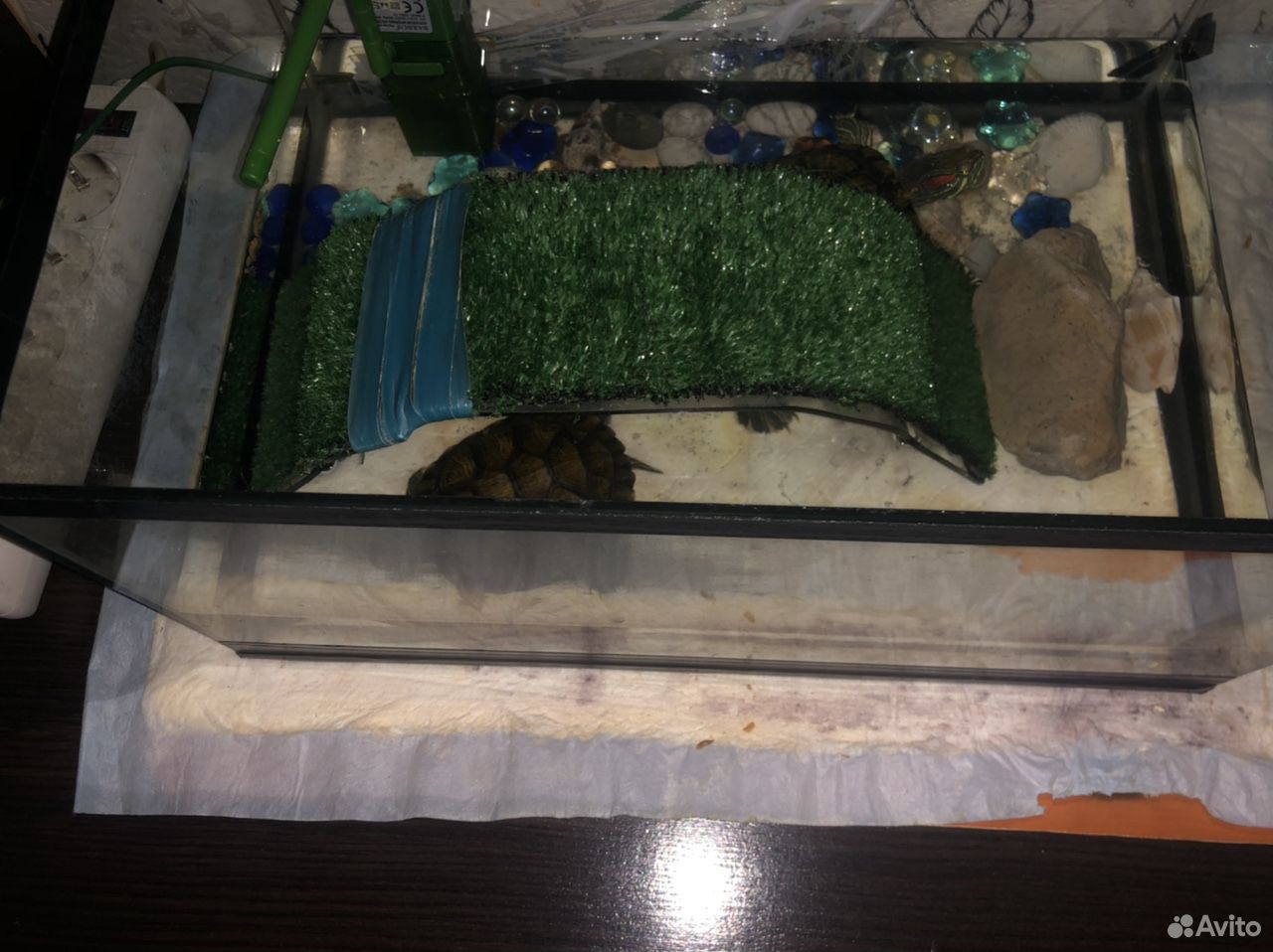 Черепахи с аквариумом