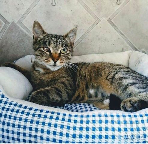 Воспитанная,сдержаная,недолюбленая,говорливая Маня