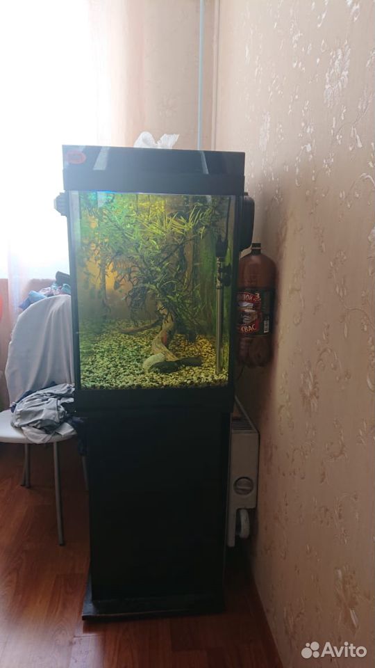 Аквариум 200 л