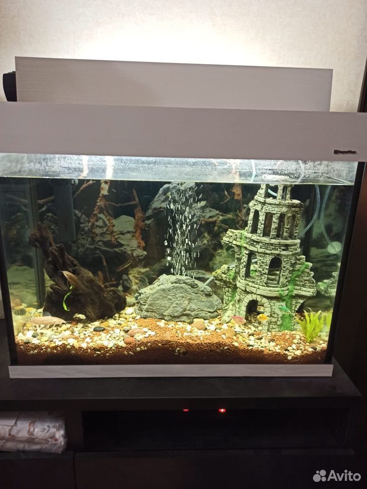 Аквариум 100 литров