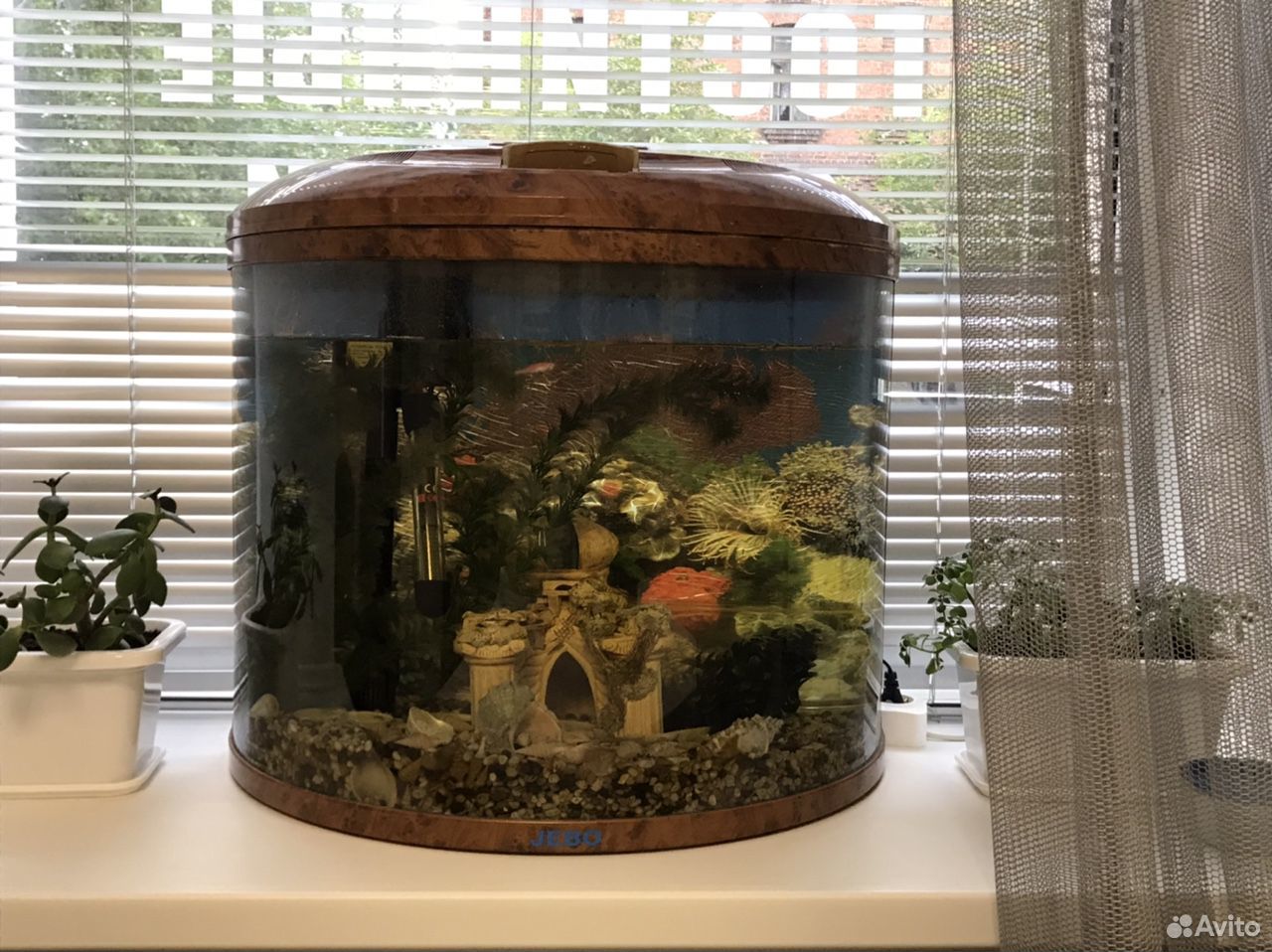 Аквариум