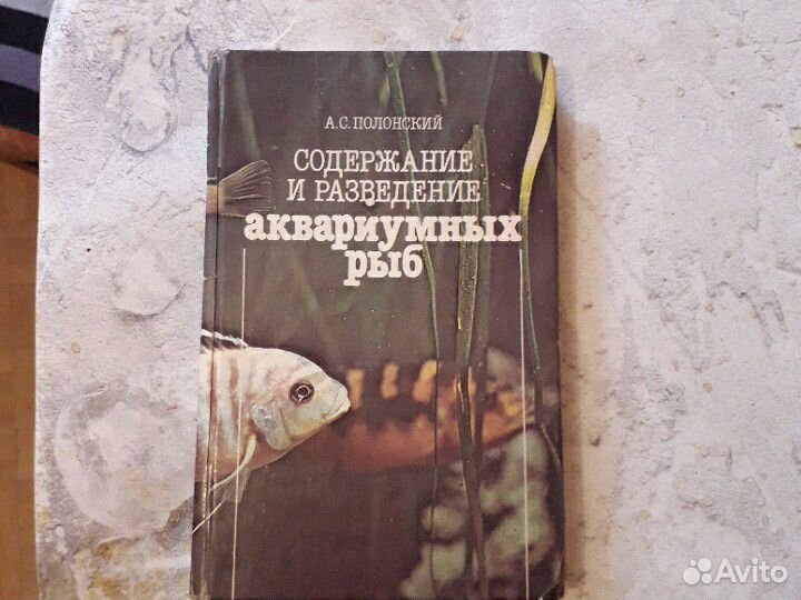 Содержание и разведение аквариумных рыб
