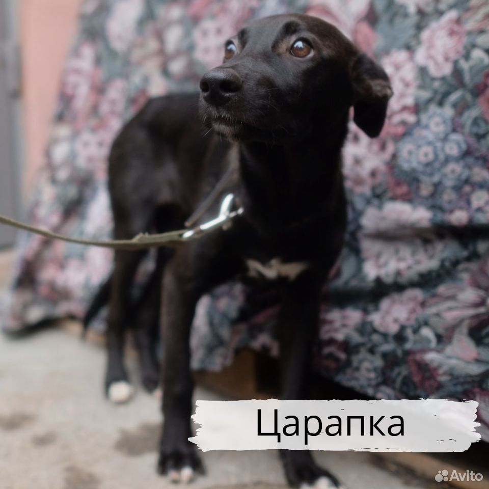 Доченька