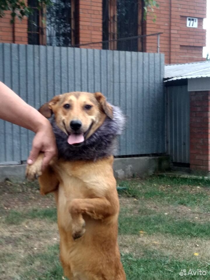 Супер классная эльза