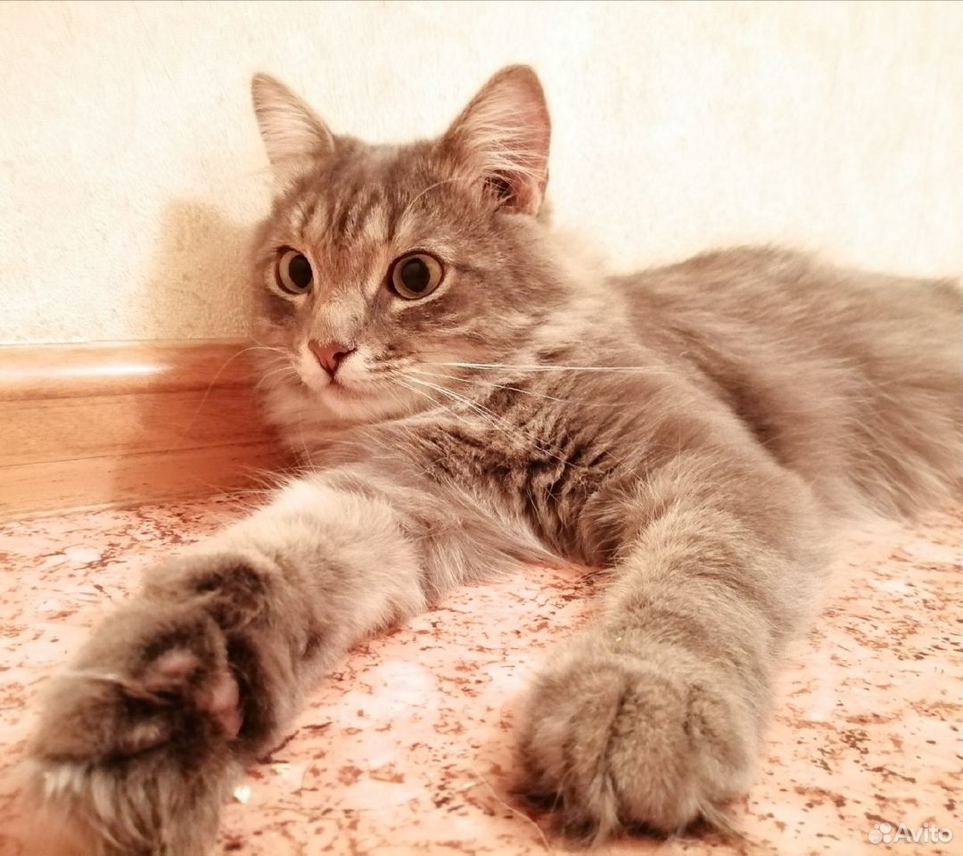 Лили