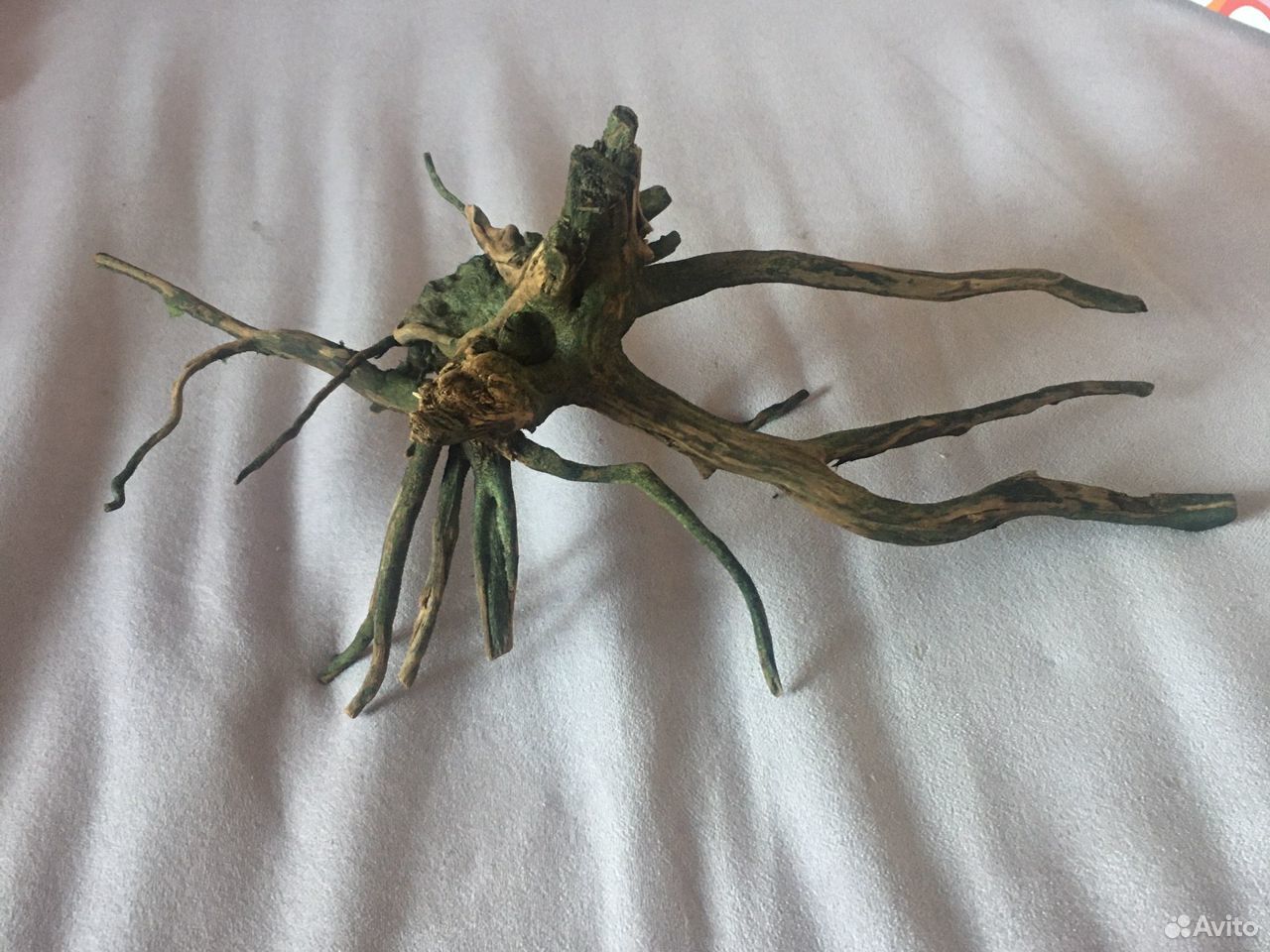 Коряга (паучий корень) для аквариума