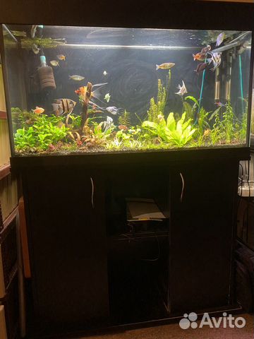 Аквариум с тумбой