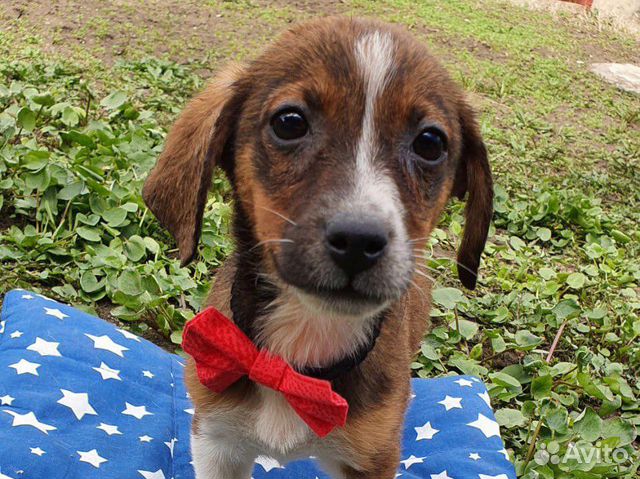 Нюра очень нуждается в семье