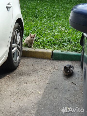 Малышка Лиля, 2 мес