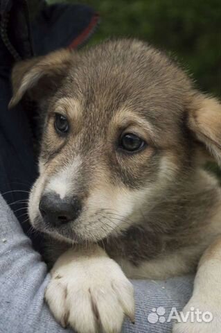 Красавец Рим