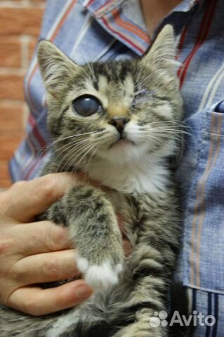 Спасенная крошка 2 мес очень надеется на счастье