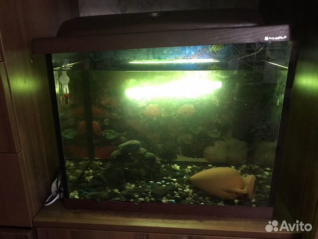 Аквариум
