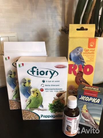 Корм для птиц