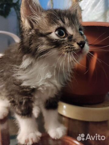 Малыша выкинули к подъезду, помогите найти дом