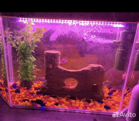 Аквариум