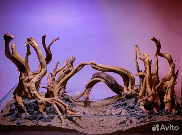 Коряги для аквариума