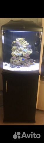 Морской аквариум