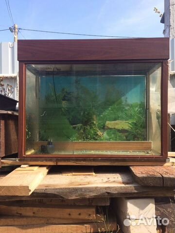 Аквариум
