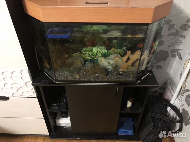 Аквариум