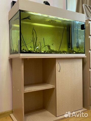 Аквариум с фильтром