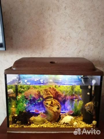 Аквариум 72л