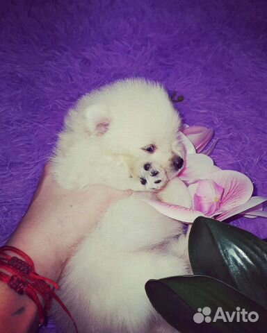 Шикарная минюшечка набивная девочка