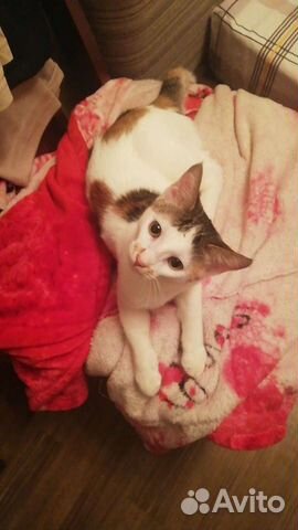 Наступила осень. Депрессия. Не кого обнять. Она не