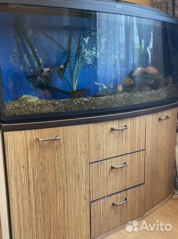 Аквариум