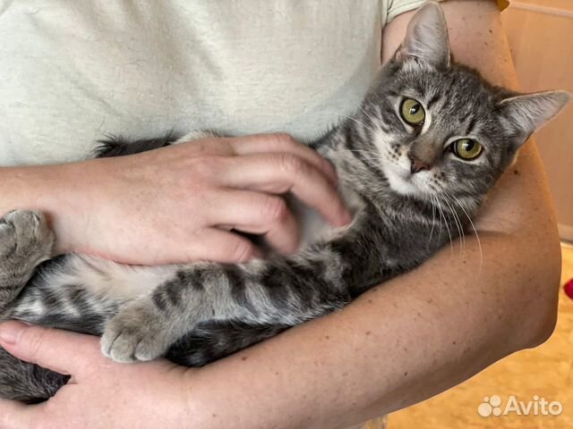 Милая Ясенька 5 мес удочеряется в добрые руки