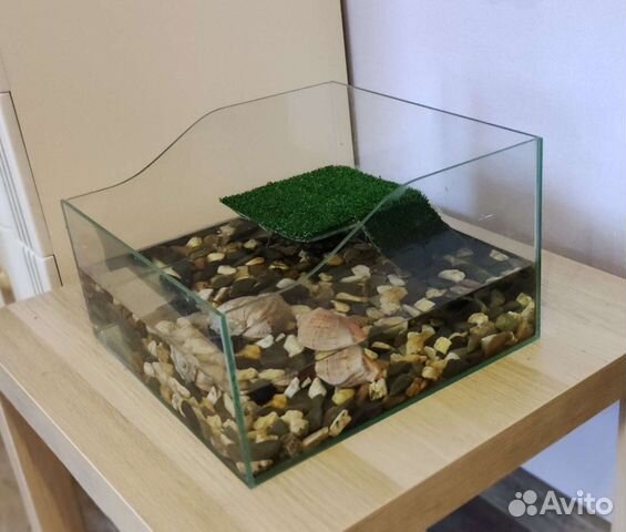 Черепашник