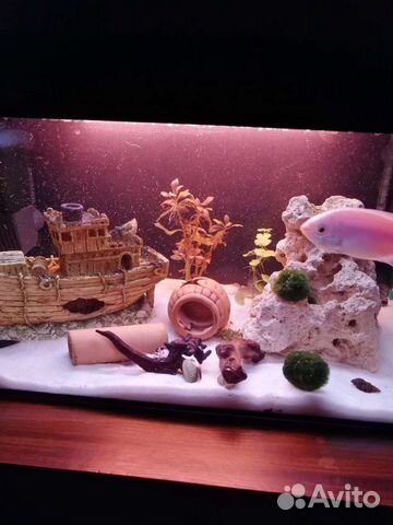 Галька для аквариума белая