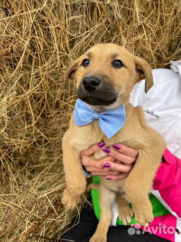 Вдобрые руки