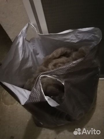 Шерсть собаки хаски