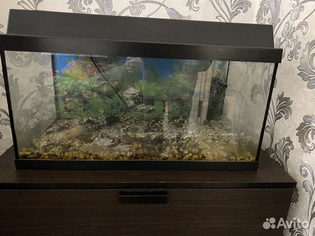 Аквариум