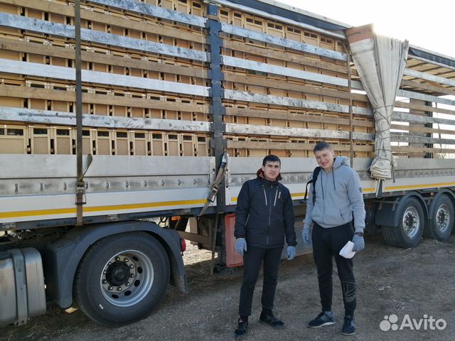 Пчелопакеты Карпат Карника ранние