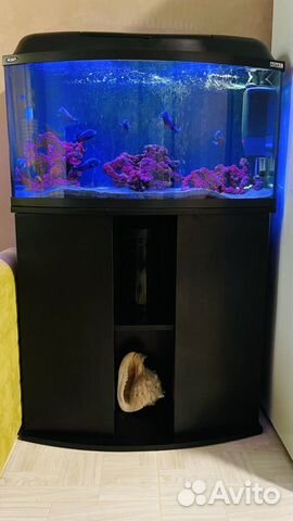 Аквариум Aquael pearl 100