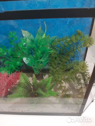 Аквариум 15л