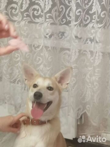 Другая
