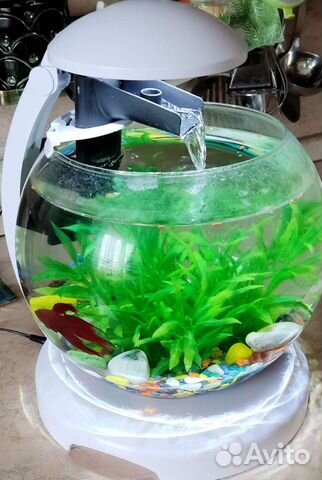 Аквариум тетра 6.8л