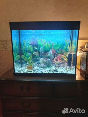 Аквариум(Новый) полный комплект с рыбками